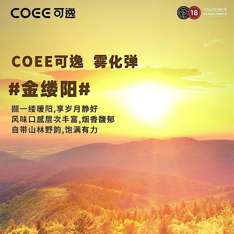 COEE可逸金缕阳国标烟弹 - 电子烟博客-电子烟博客