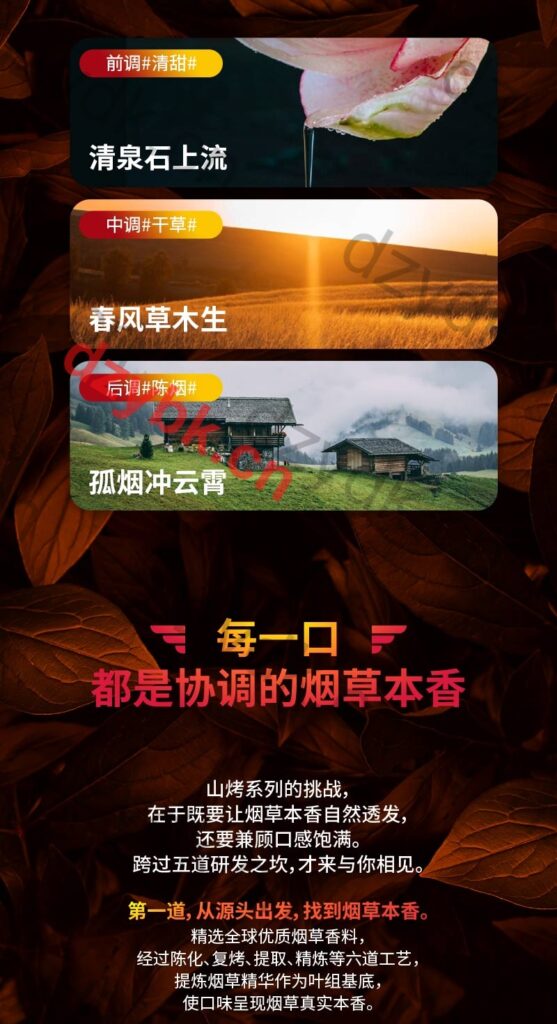 RELX悦刻大千Mega甘泽山烤20国标烟弹 - 电子烟博客-电子烟博客